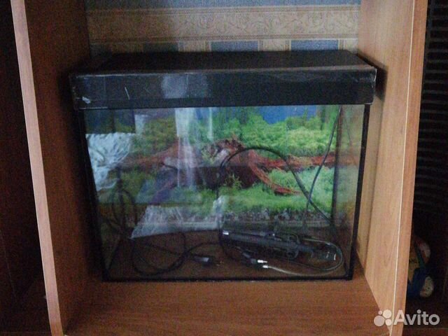 Аквариум