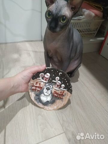 Канадский сфинкс