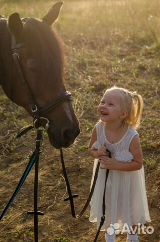 Детский конный лагерь