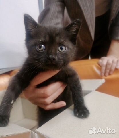 Чудесная малышка идет дом