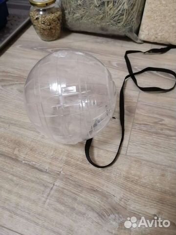 Сирийский хомяк мальчик с клеткой