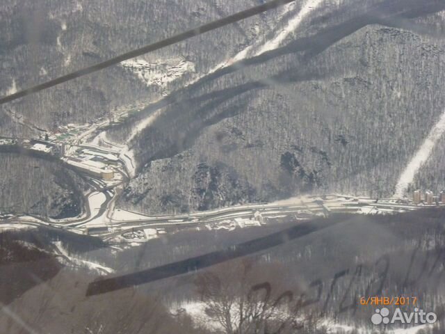 Продам ягнят