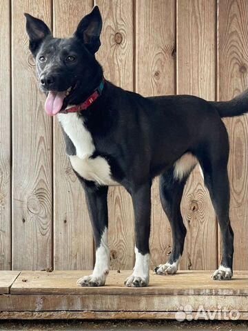 Малышка Женева