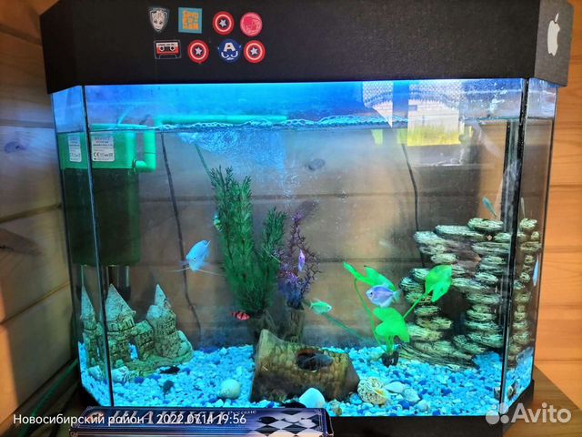 Аквариум