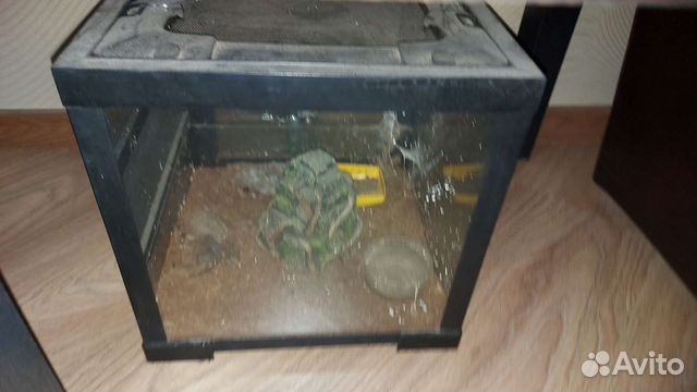 Террариум - 3 шт., 1шт. 3030см, 2шт. 2020см