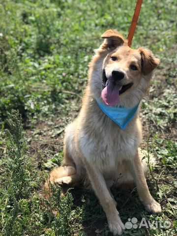 Мальчишка красавец