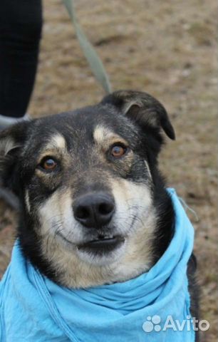 Боня ищет дом