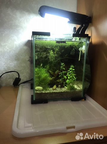 Аквариум