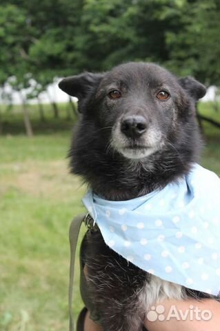 Красотка Луиза хочет домой