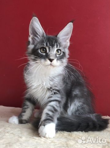 Чудо-чудное