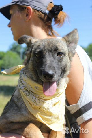 Жизнь в приюте -неравный бой.Спасите малышку
