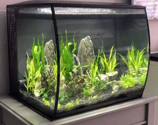 Аквариум Hagen Fluval Flex 34 л с изогнутым стекло